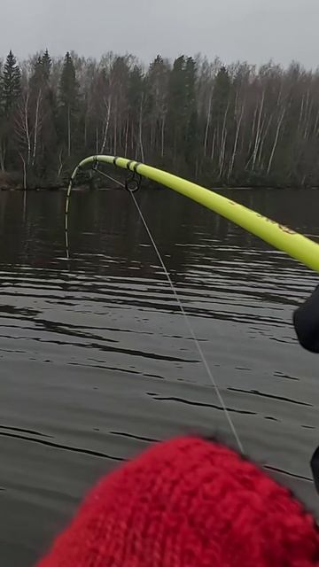 Неожиданный трофей!