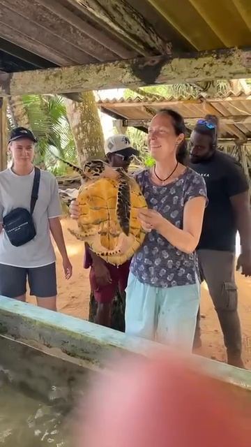 Черепаховая ферма. Шри-Ланка