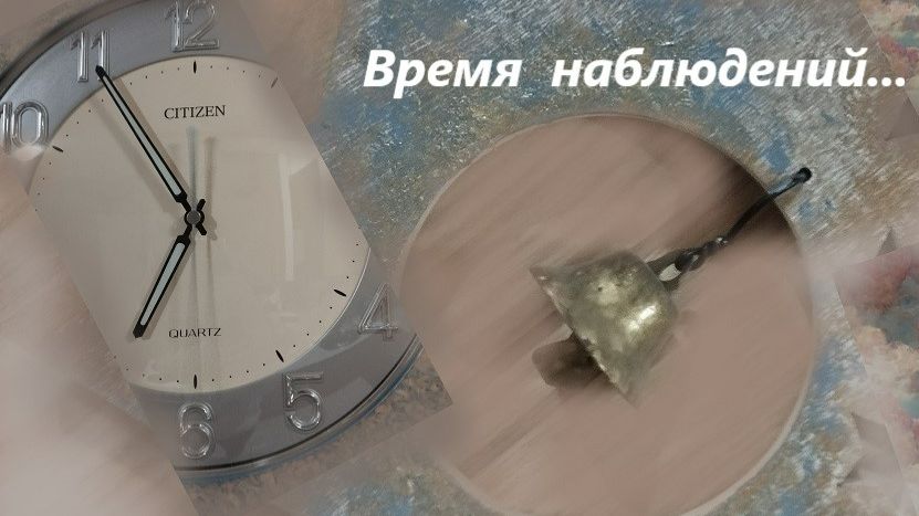 Человечество спешит ход жизни изменить