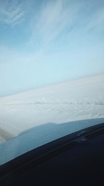 Чёрная Гитара. Поездка в деревню 2