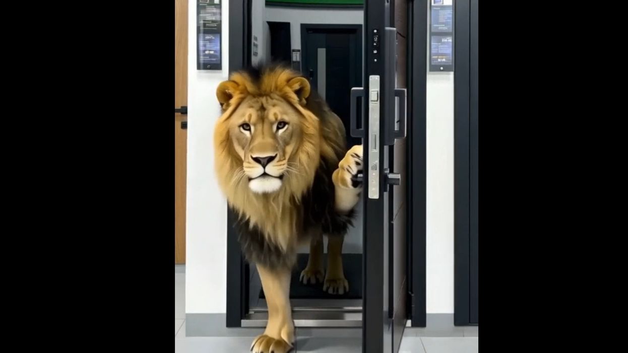 Уличные входные двери по индивидуальным запросам