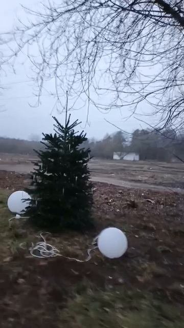 Холодная дорога через парк