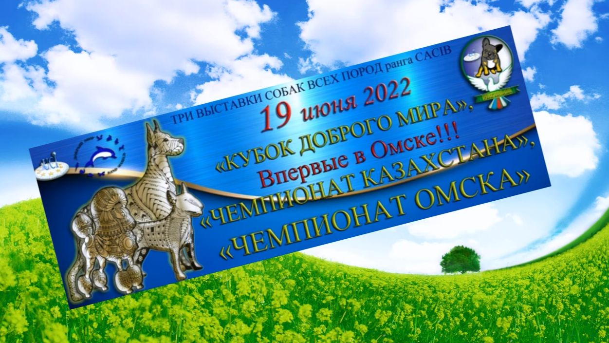 Выставка собак  Добрый Мир   19.06.2022