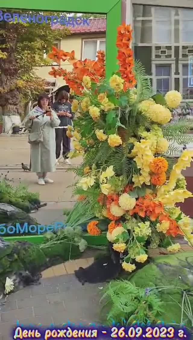 Зеленоградск - сентябрь 2023