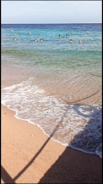 Египетские каникулы.mp4