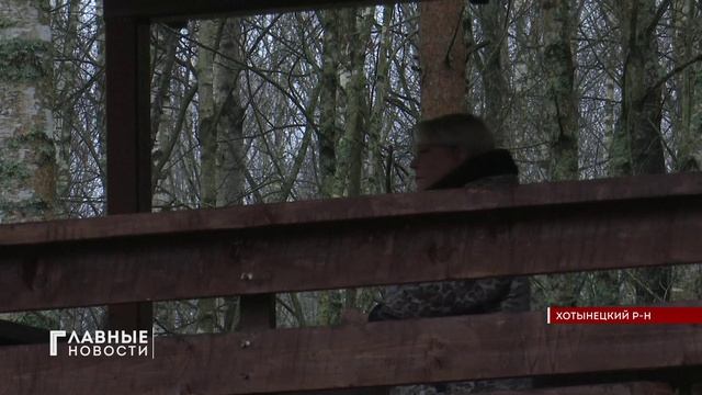 В Орловском полесье зубры начали выходить к подкормочным площадкам