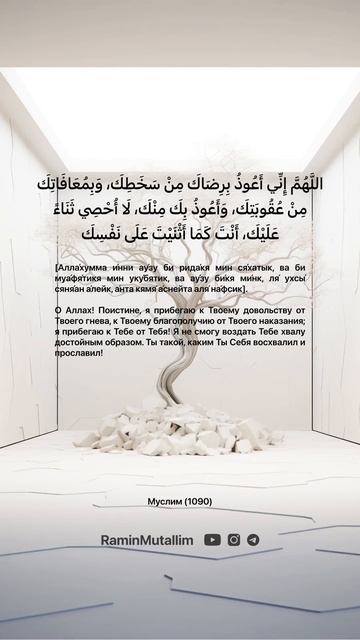 📖 Nº17 ДОСТОВЕРНЫЕ МОЛИТВЫ ПРОРОКА ﷺ