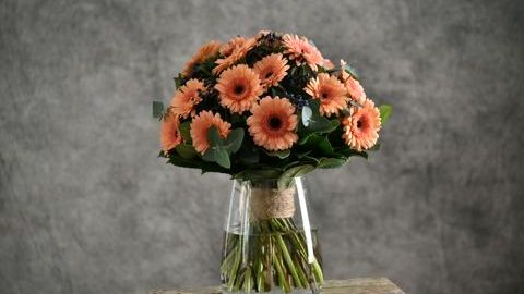 Букет из гербер и его особенности