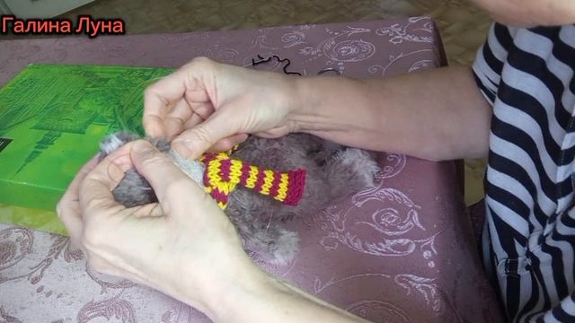 💥Усы для вязаного котика , Плутошка будет красавчик☺