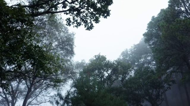 Мощь Природы за 2 минуты: Горы, Реки, Водопады • Энергия и масштаб