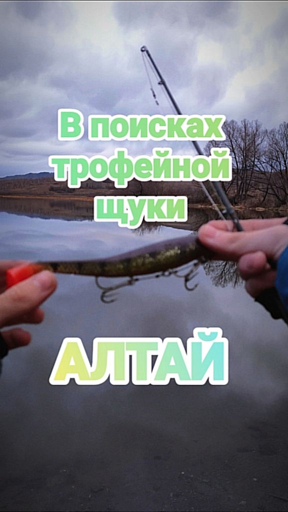 В поисках трофейной щуки в Горном Алтае