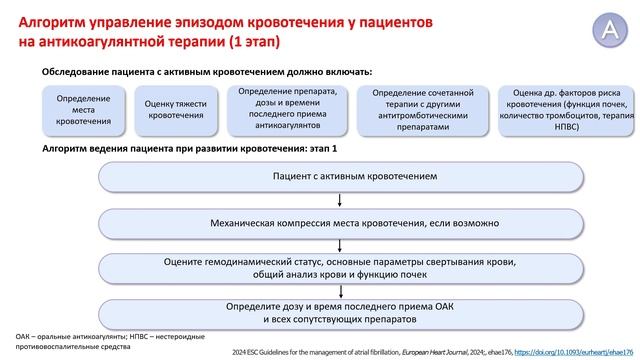 Новости кардиологии – 2024 (22.11.2024)