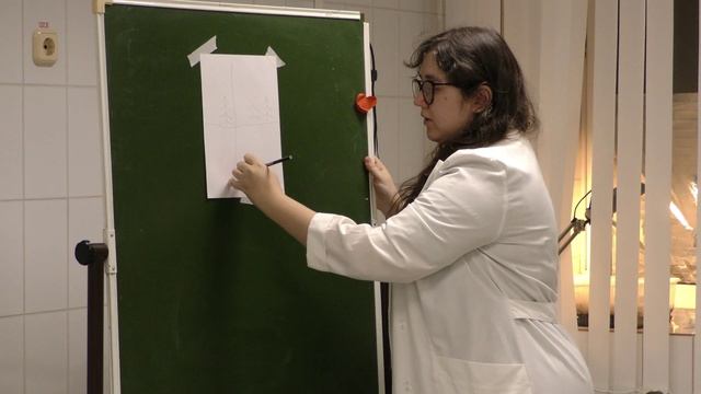 Урок_Погосская А.И._2025