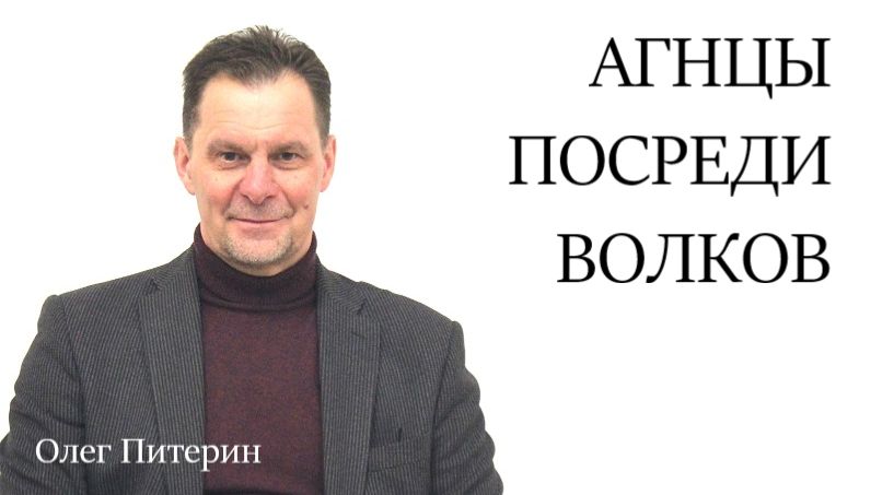 Агнцы посреди волков 7.12.2025.