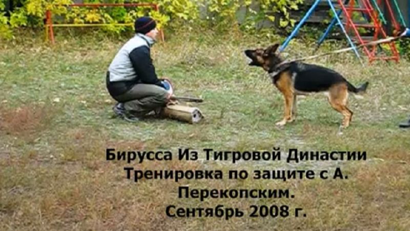 Бирусса Из ТД 2008. Тренировка  с Перекопским А