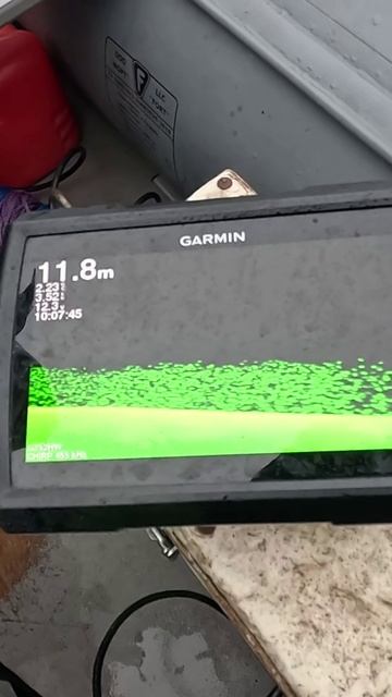 Стая крупного леща на эхолоте Garmin!