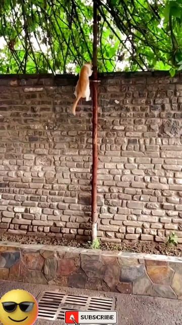 Обыкновенный Вторник 🫶🥰😎