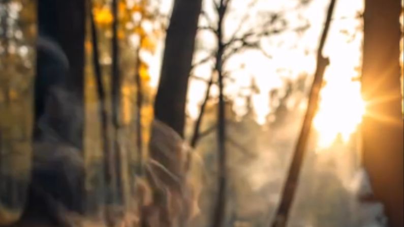 Добрый день хорошего дня | Приятная открытка для хорошего настроения