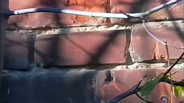 1994 год. Семакова, 36. Мрачные места Тюмени