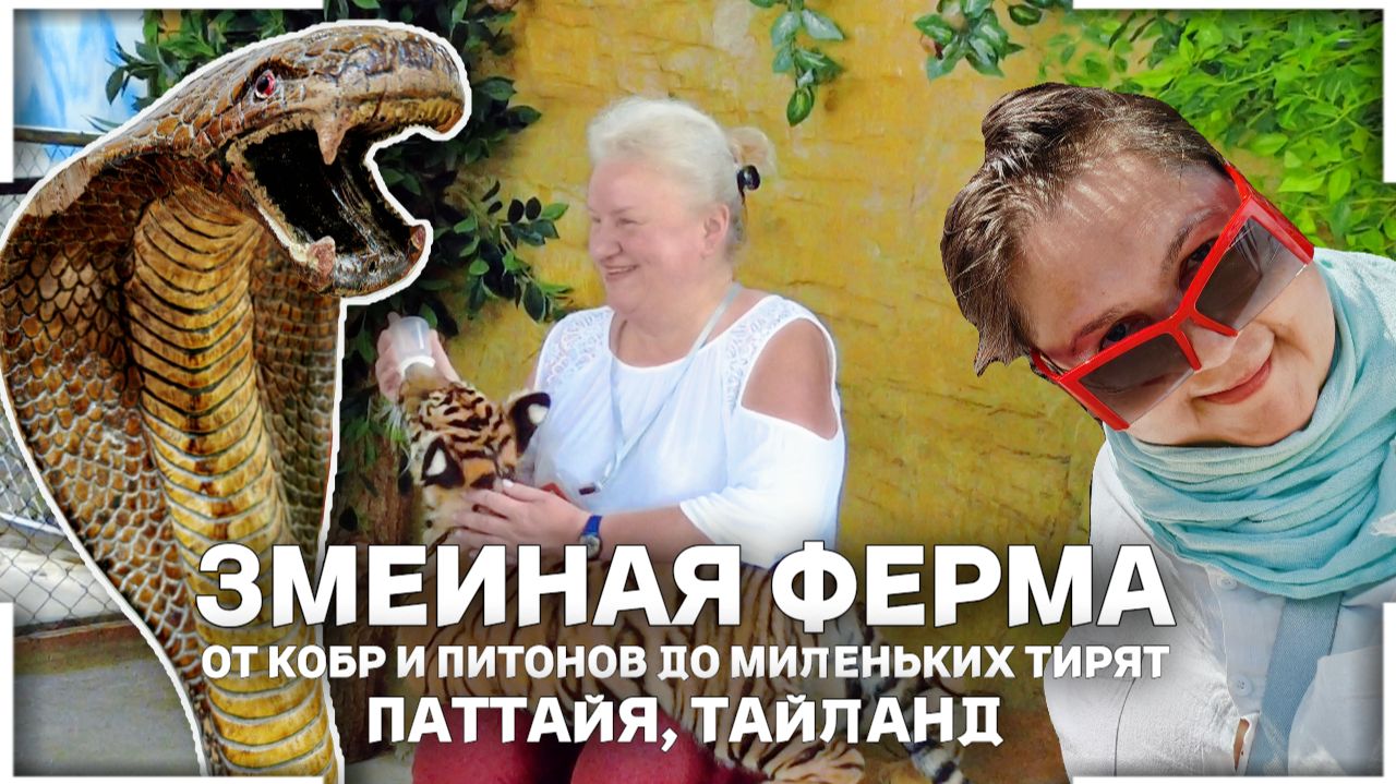 Тайланд. В гостях у змей. От кобр и питонов до миленьких тигрят. Визит на змеиную ферму в Паттайе