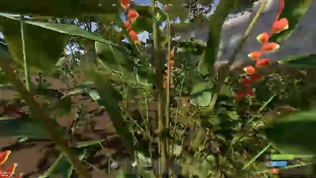 Ksilendius стримит разные игры.