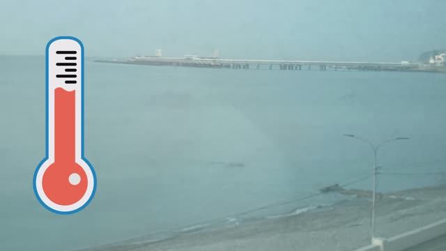 Муром-Хоста 2025.