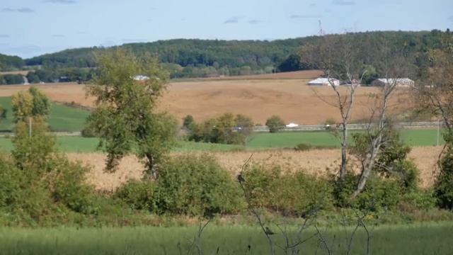 Dunes -Видео от SimonFordman