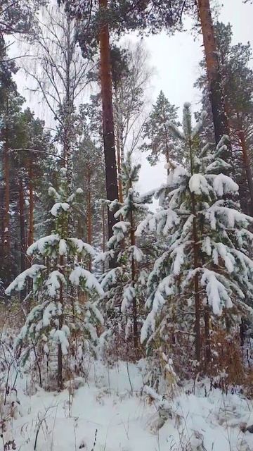 💖Восьмого декабря наконец-то выпал снег! ❄️
