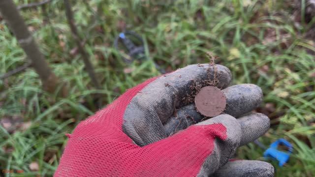 В этом лесу сохран огонь, земля песочек