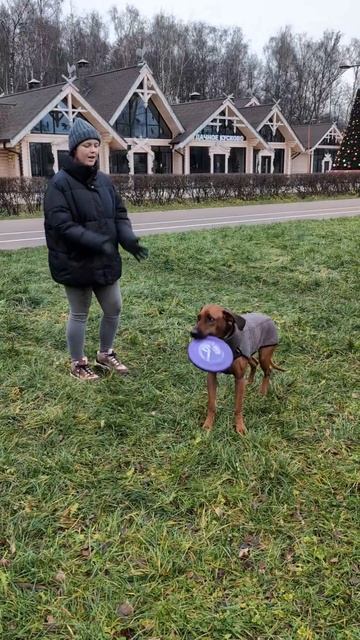 Риджбек Айна - начало обучения флипу