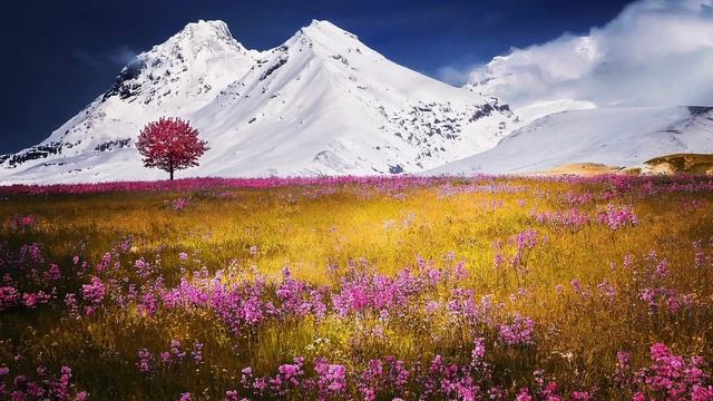 Обсуждение темы № 5 Заключительная борьба и пример столкновения Давида с Голиафом