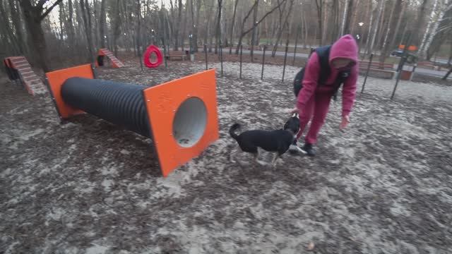 На собачьей площадке в Кисловодске. 19.11.2025