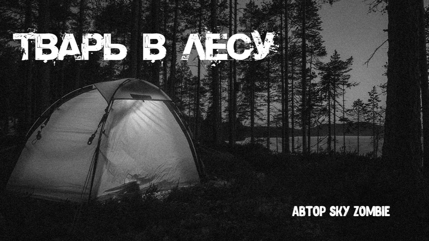 Тайны города Энска. Часть 1: Тварь в лесу