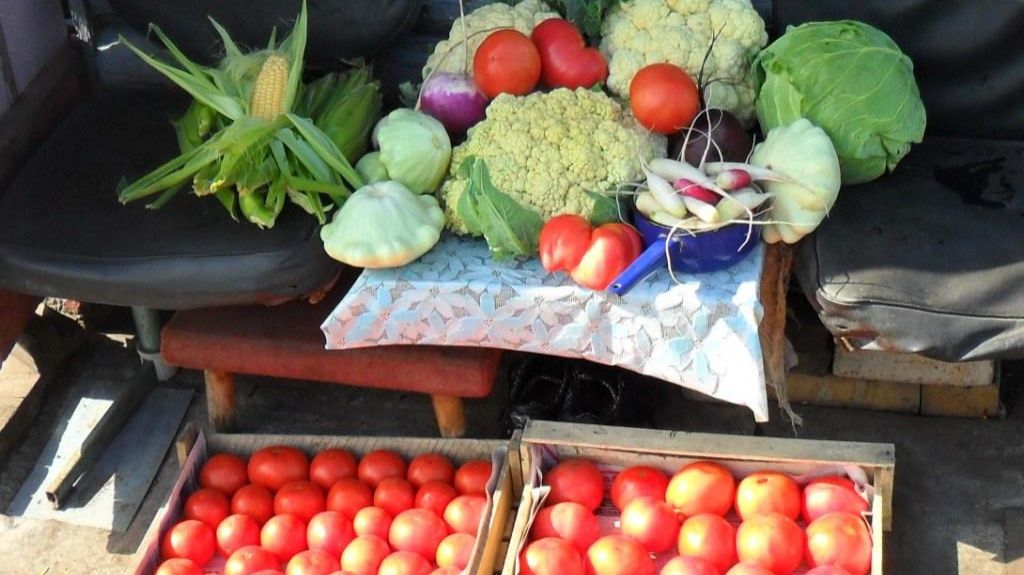 Ответы на вопросы по садово-огородным делам 60