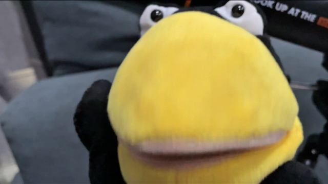 Сборник с вороной Асей 💎