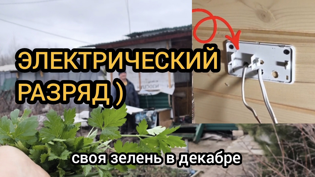 Электрика. Доски для кухни из фанеры 6-7.12.2025