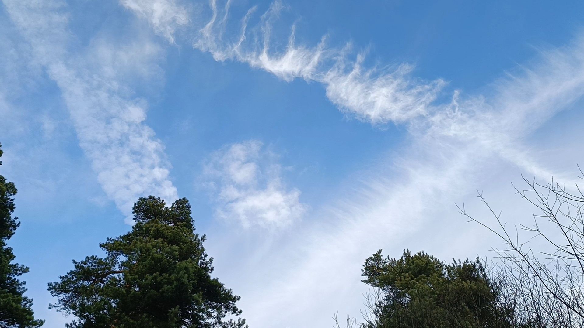 Экотерапия 64 серия.