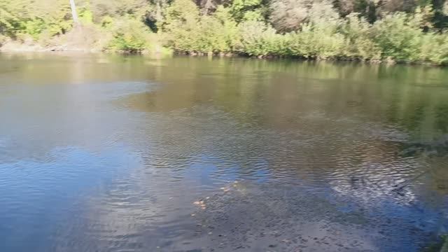 Деревня. Архив 2024. Сбор урожая.