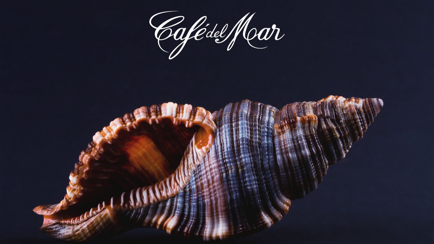 Café Del Mar 2019 - Volumen Veinticinco XXV (1CD)