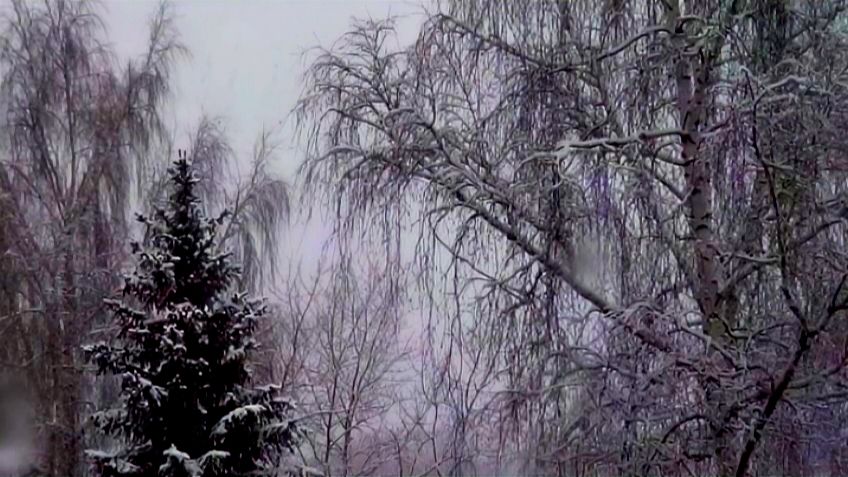 Снегопад в Жилёво