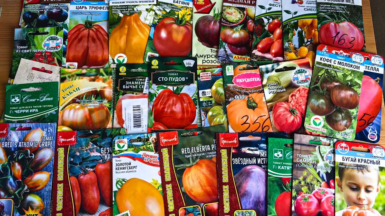 Обзор Томатов 2026 Выбираем Вместе Томаты к сезону 2026
