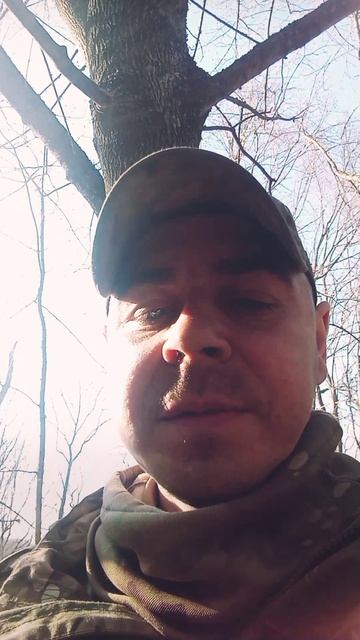 Алексей Зайцев - Боль и пыль