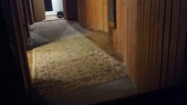 5 ночей с Максимом 2 ночь