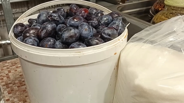 Самогон из сливы СЛИВОВИЦА. #1 Ставим брагу на фруктовых турбодрожжах