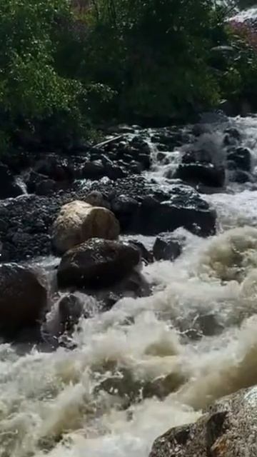 Самые сильные люди