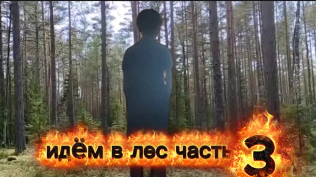 Идëм в лес часть 3333