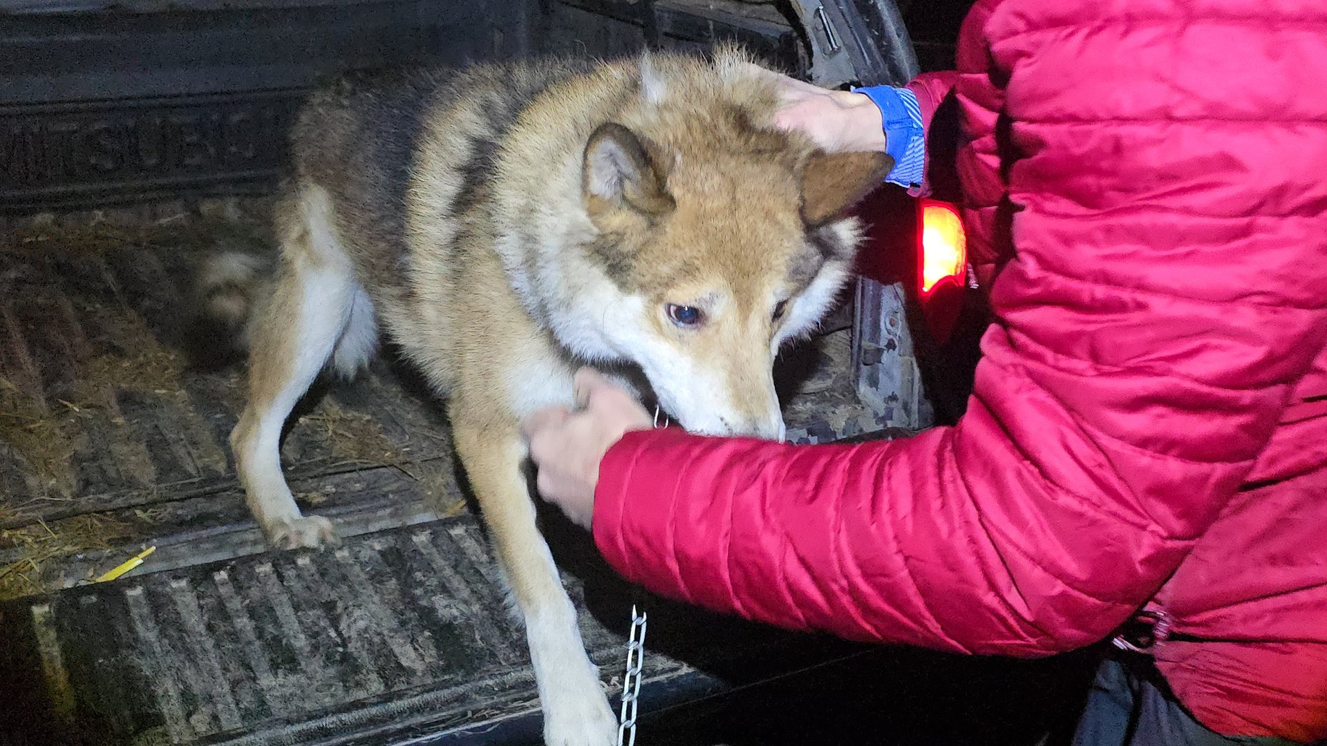 Аян ушёл в побег