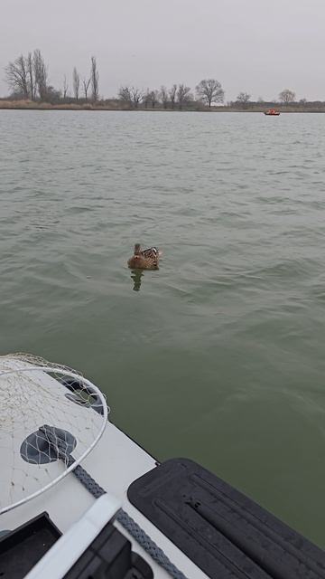 Гости на рыбалке 😁