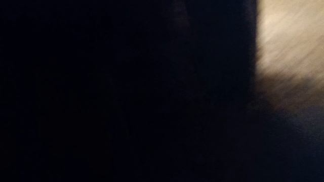 5 ночей с Максимом 5 ночь