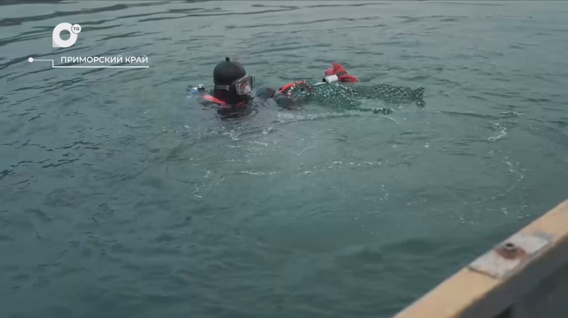 Разведка блогом / 09.12.25